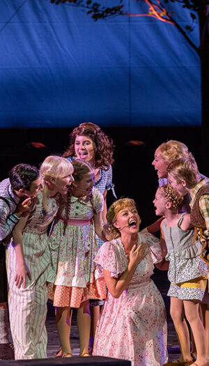 The Muny - America's Oldest and Largest Outdoor Musical Theatre